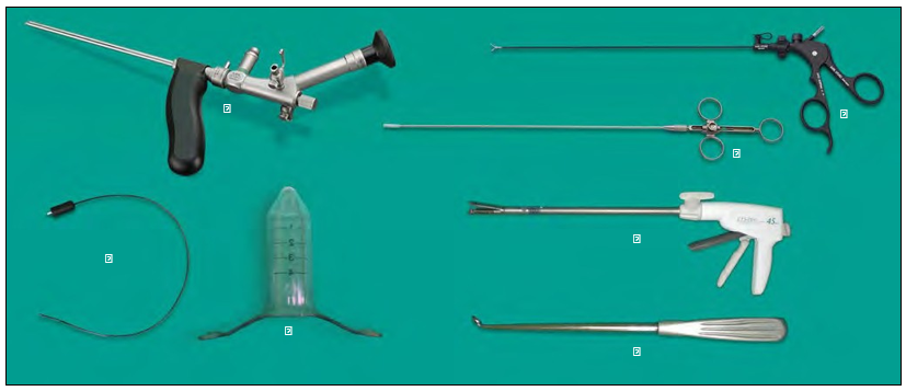 VAAFT Video Assisted Anal Fistula Treatment